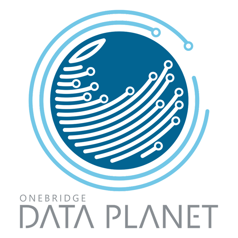 Data Analytics Consulting | Onebridge